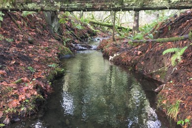 Water | Stevenson Washington